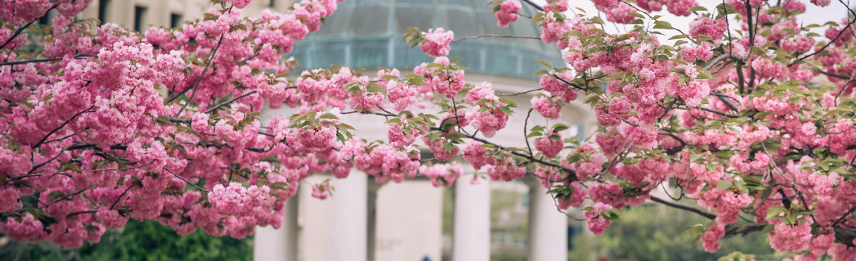 Inaugural Conference ‘Beyond Dynamic Competition’ | GW Competition & Innovation Lab | The George ...